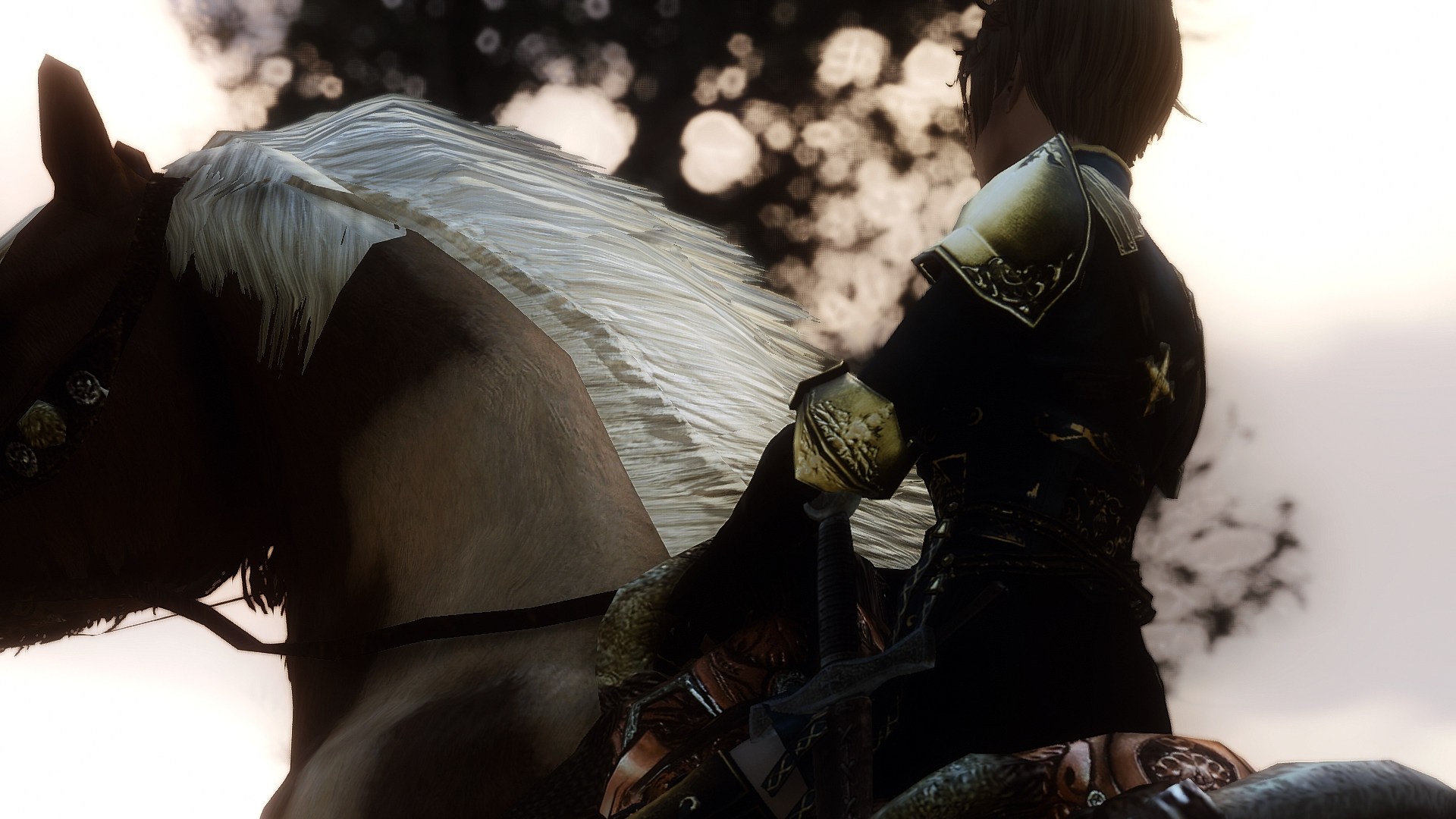 Ritter Armor UUNP (Idye)