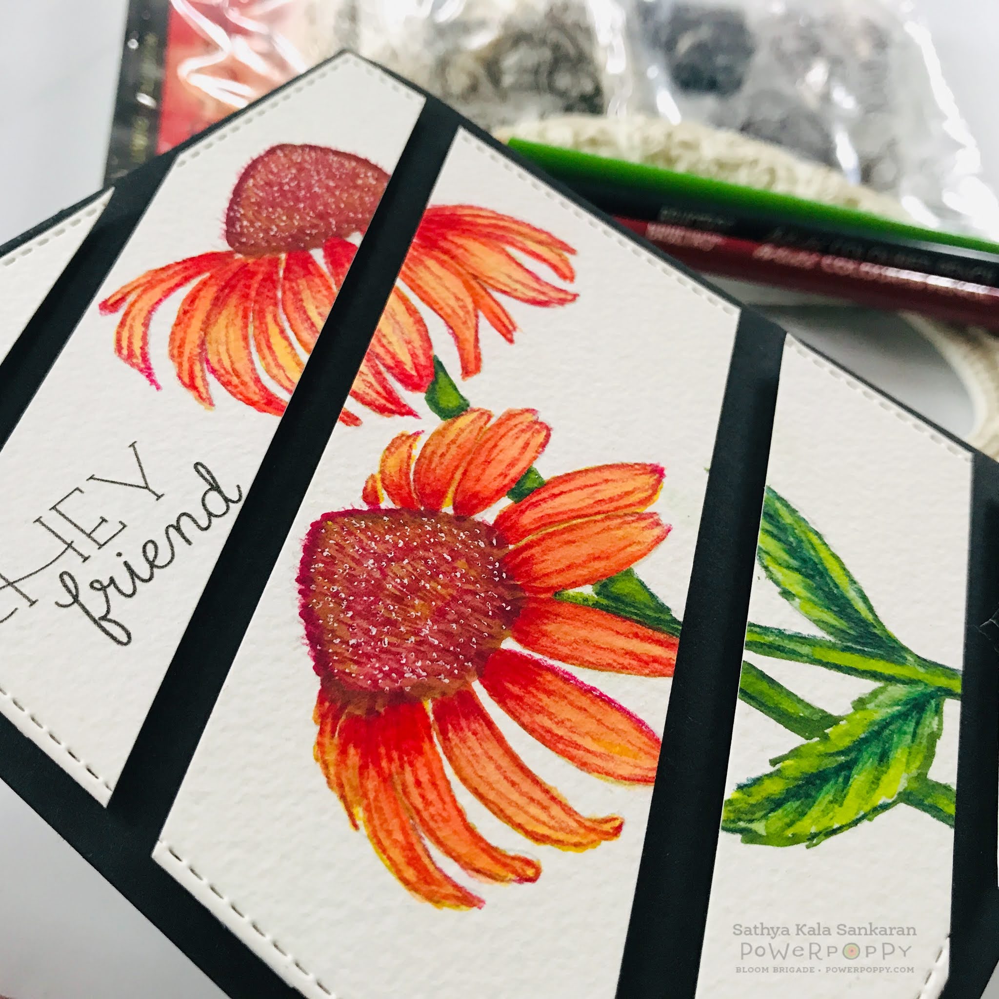 Paperie Expressions: Cut up Stamping Technique: PowerPoppy