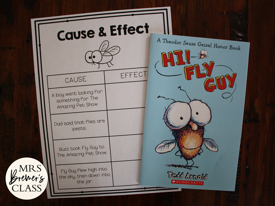 Book Study: Hi! Fly Guy and Paper Bag Book Club | Mrs. Bremer's Class