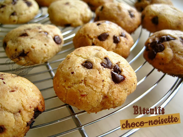 15 recettes de biscuits au chocolat super gourmands : Il était une fois ...