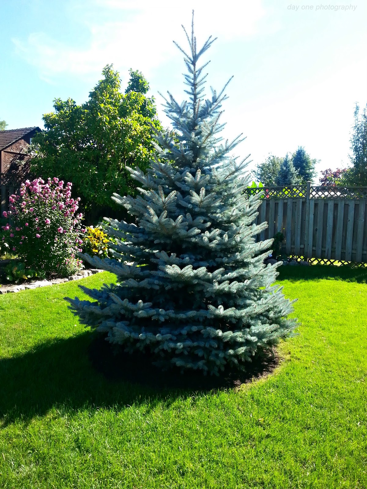 Day One Photography: Summer In September