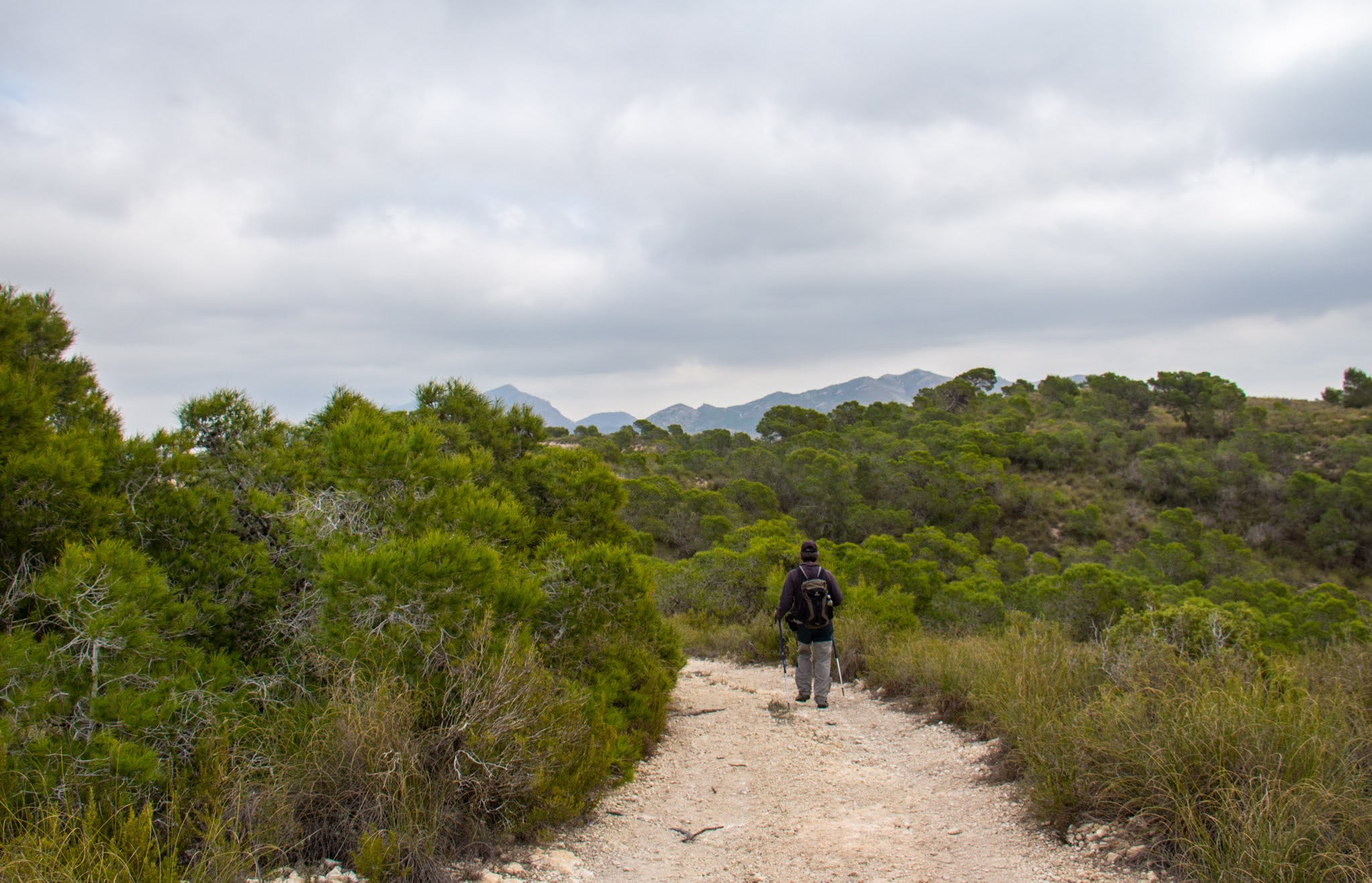 RUTA CIRCULAR AL CERRO DEL AGUDO DESDE BARBARROJA.