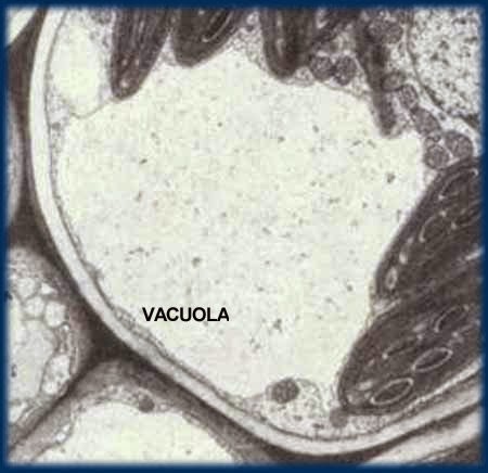 El blog de Antonio José Miralles