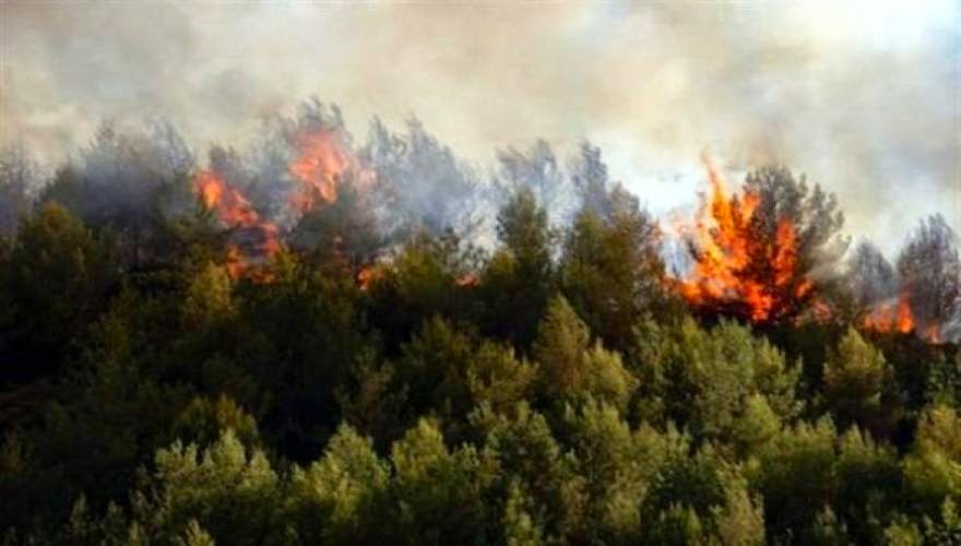 Η ΦΩΝΗ ΤΗΣ ΕΠΑΡΧΙΑΣ ΛΑΓΚΑΔΑ: ΦΩΤΙΑ ΣΤΗ ΧΑΛΚΙΔΙΚΗ ΣΤΟ ΔΕΥΤΕΡΟ ΠΟΔΙ