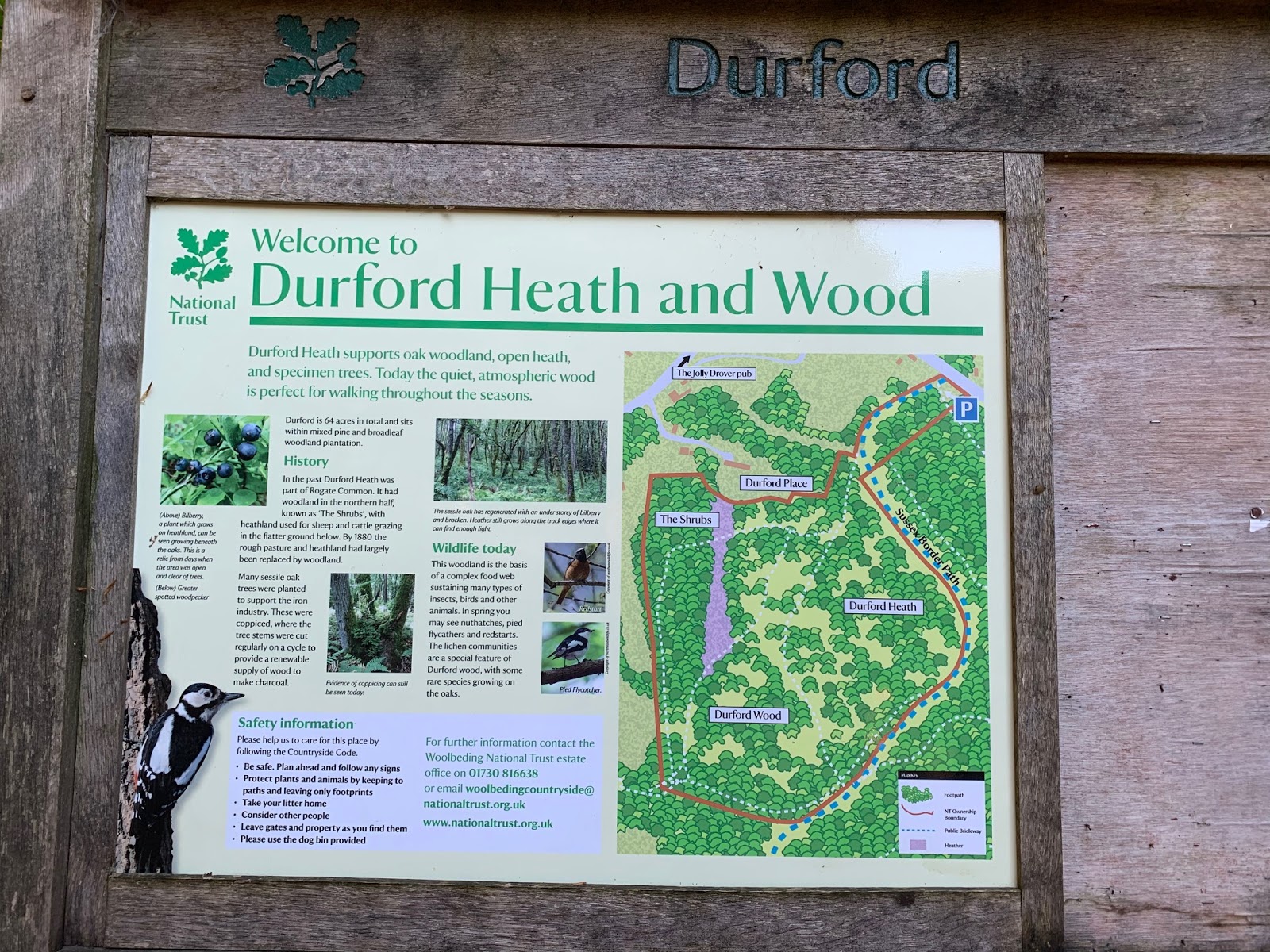Matt Eade's Blog: Durford Wood & Iping Common 20/5/20