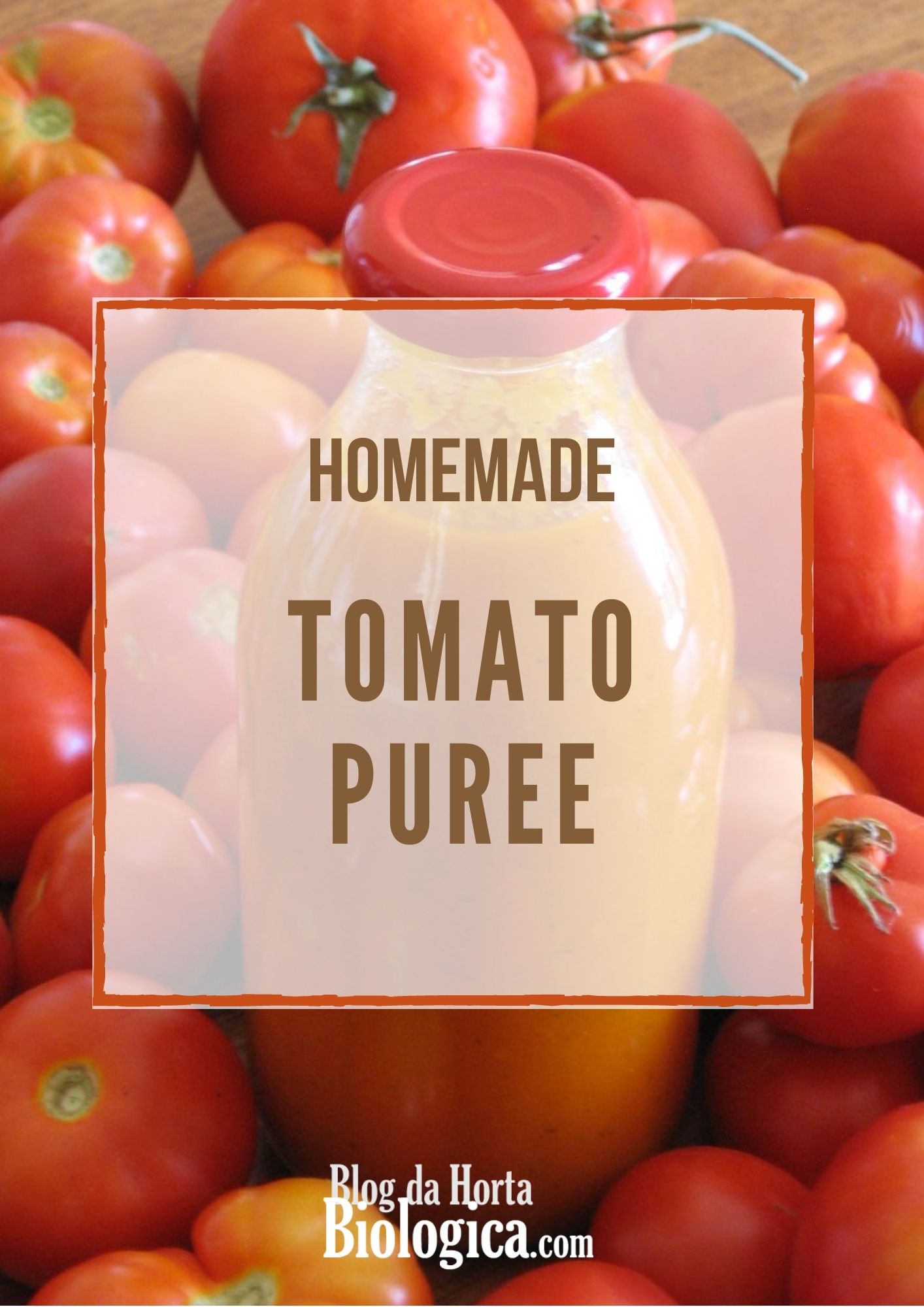 Let's jump into our recipe!