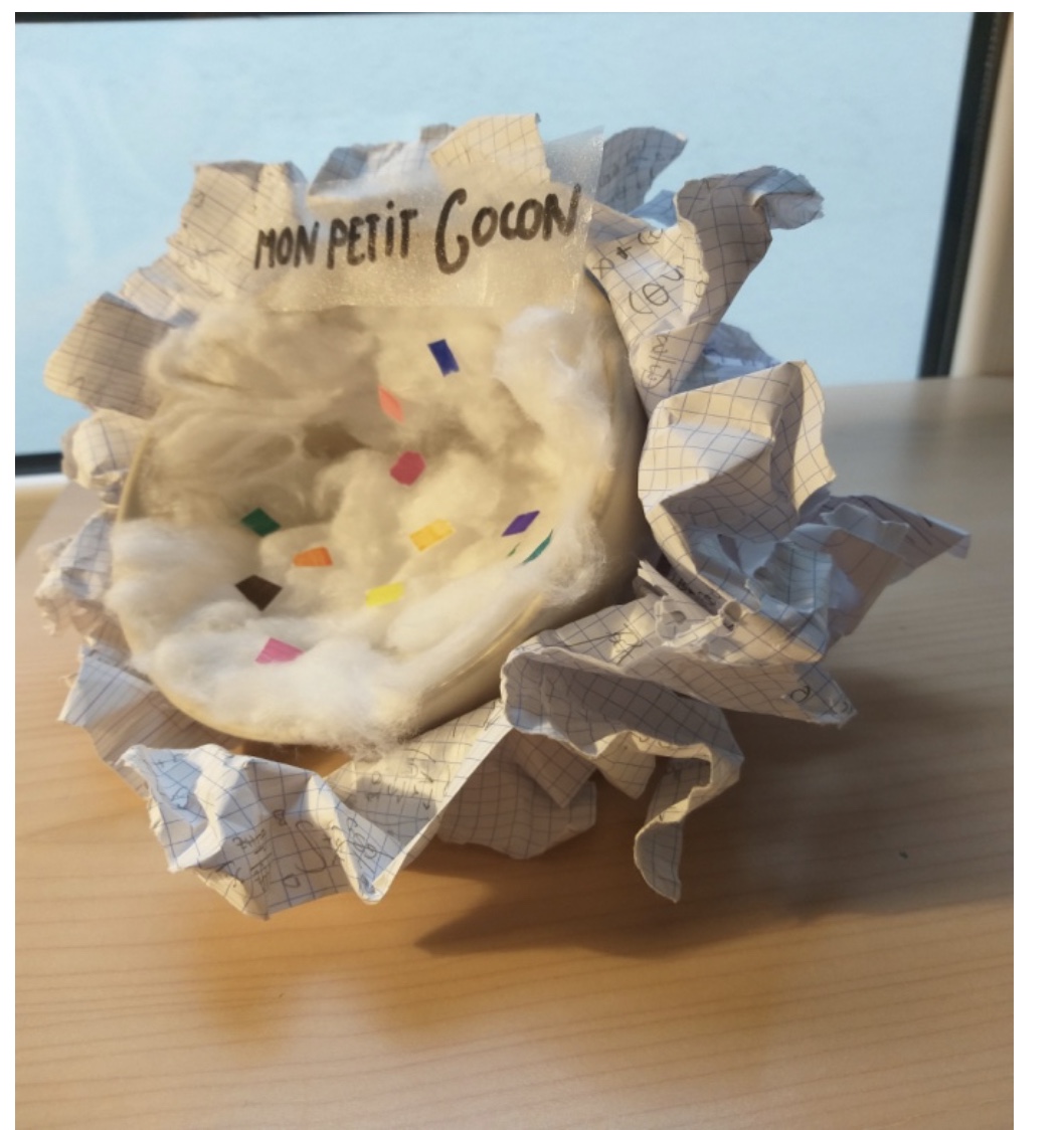 LES ARTS PLASTIQUES au lycée Comte de Foix: Cocons (travaux d'élèves)