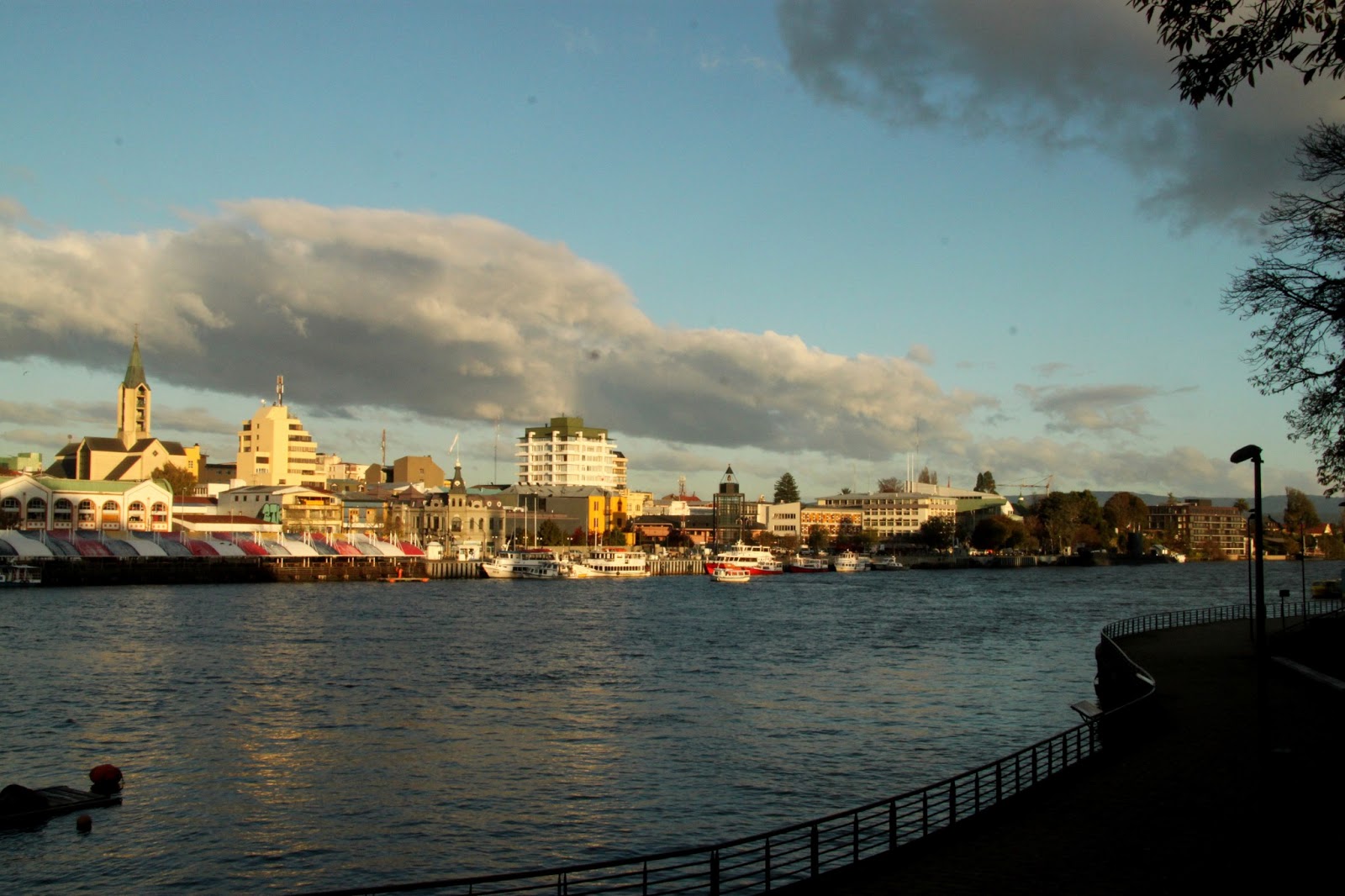 4 months, countless expectations.: valdivia.