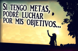 Todo pasa.. : Metas y objetivos