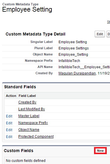 Infallible Techie Custom Metadata Types