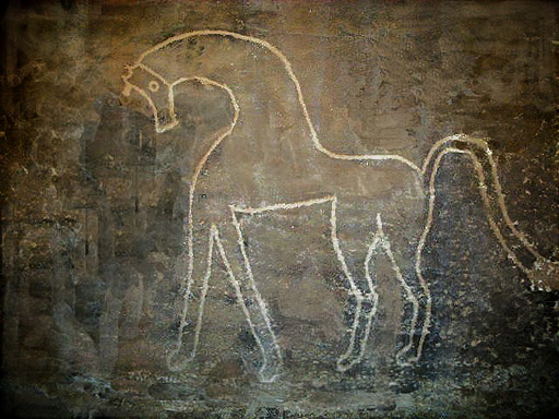 Hijo del Viento: el caballo Árabe.