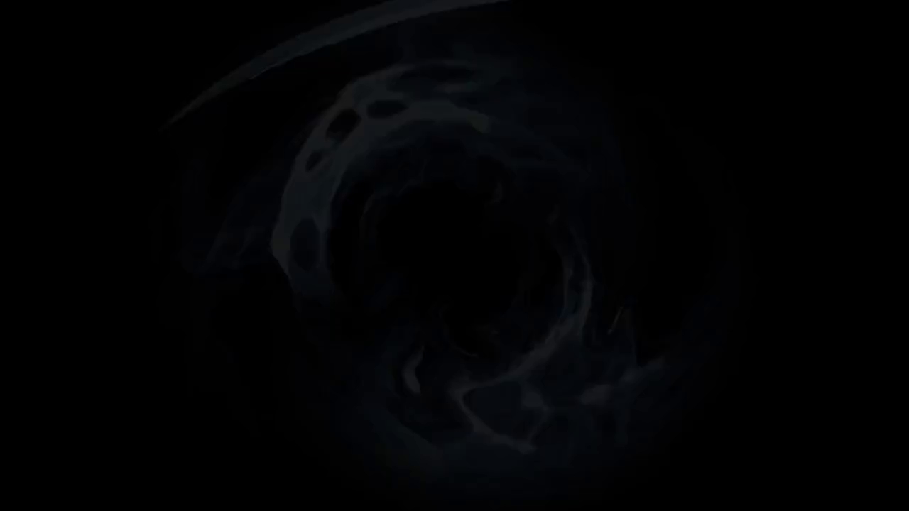 vietsinhvienit: avt đen