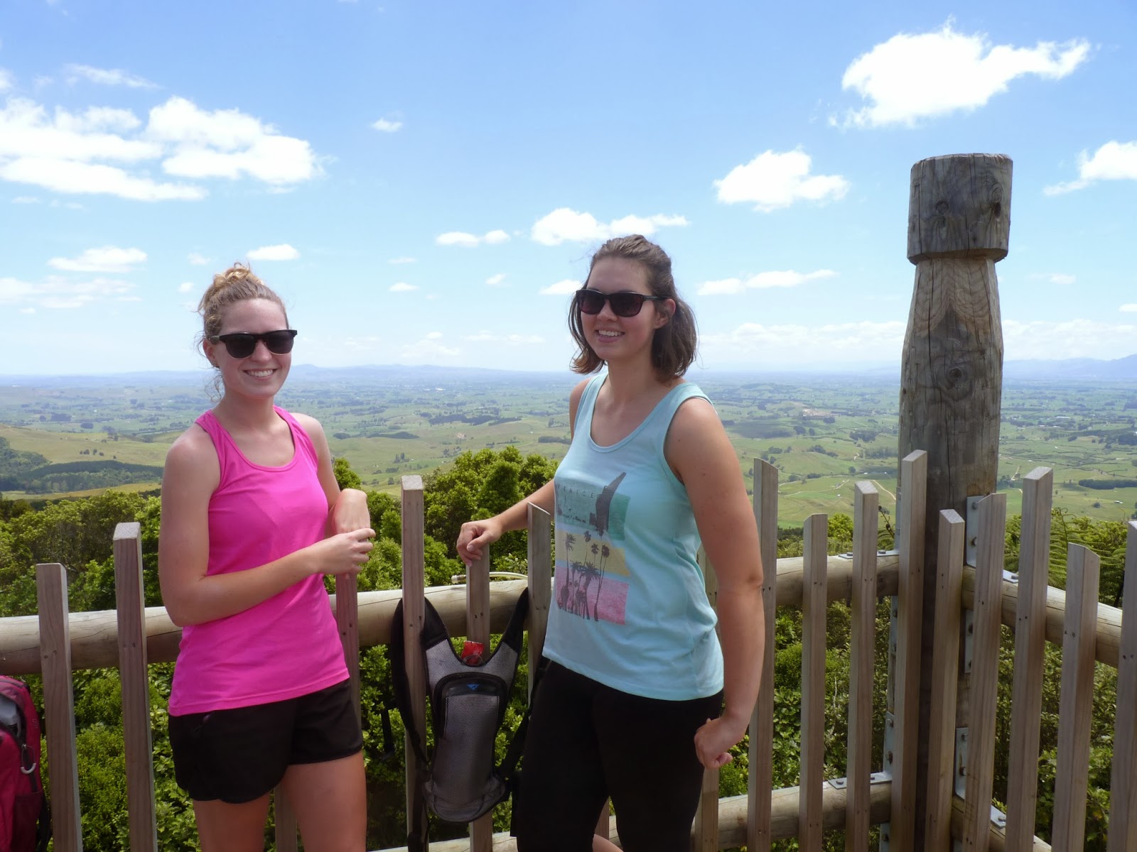 Diary Of A Kiwi Spotter