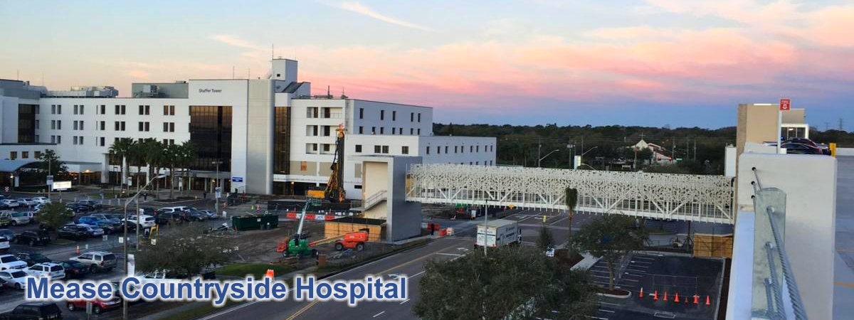 Semanario “EL ARCHIVO”: El Archivo DCXCV