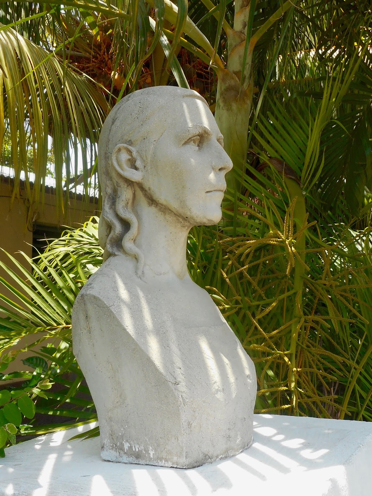 JennicaCuba: Cuba's national flower: Celia Sánchez