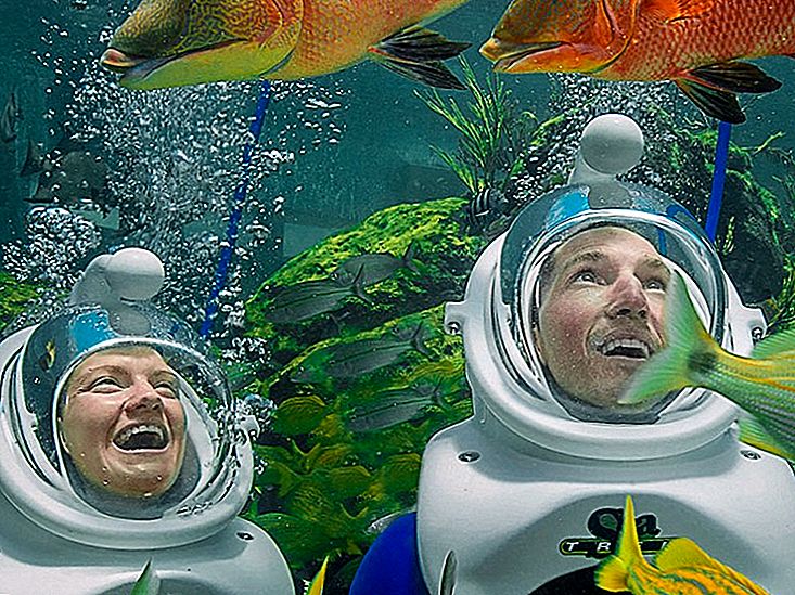 Top 10 Best Aquariums in Florida (with Map & Photos)