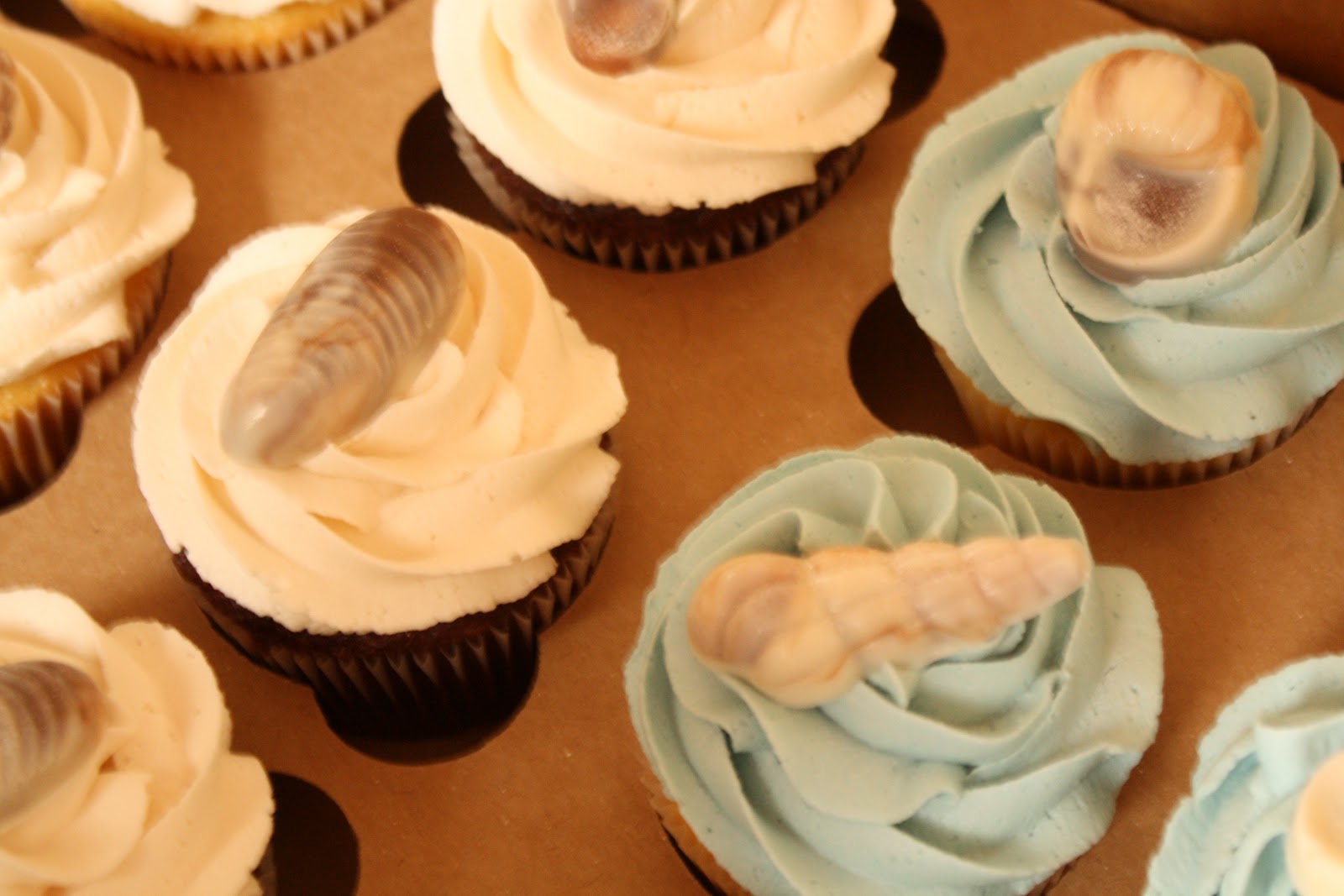 Kake: Chocolate Seashell Cupcakes