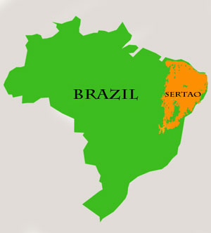 Environmental Geography: Sertão: Dry Lives and Cold War