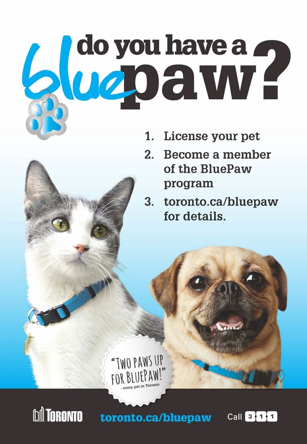 Do You Need A Dog License In Toronto
