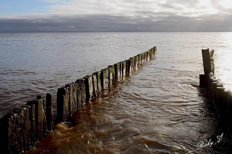 RiCKy: Se Juntan en el Infinito del Mar Dulce