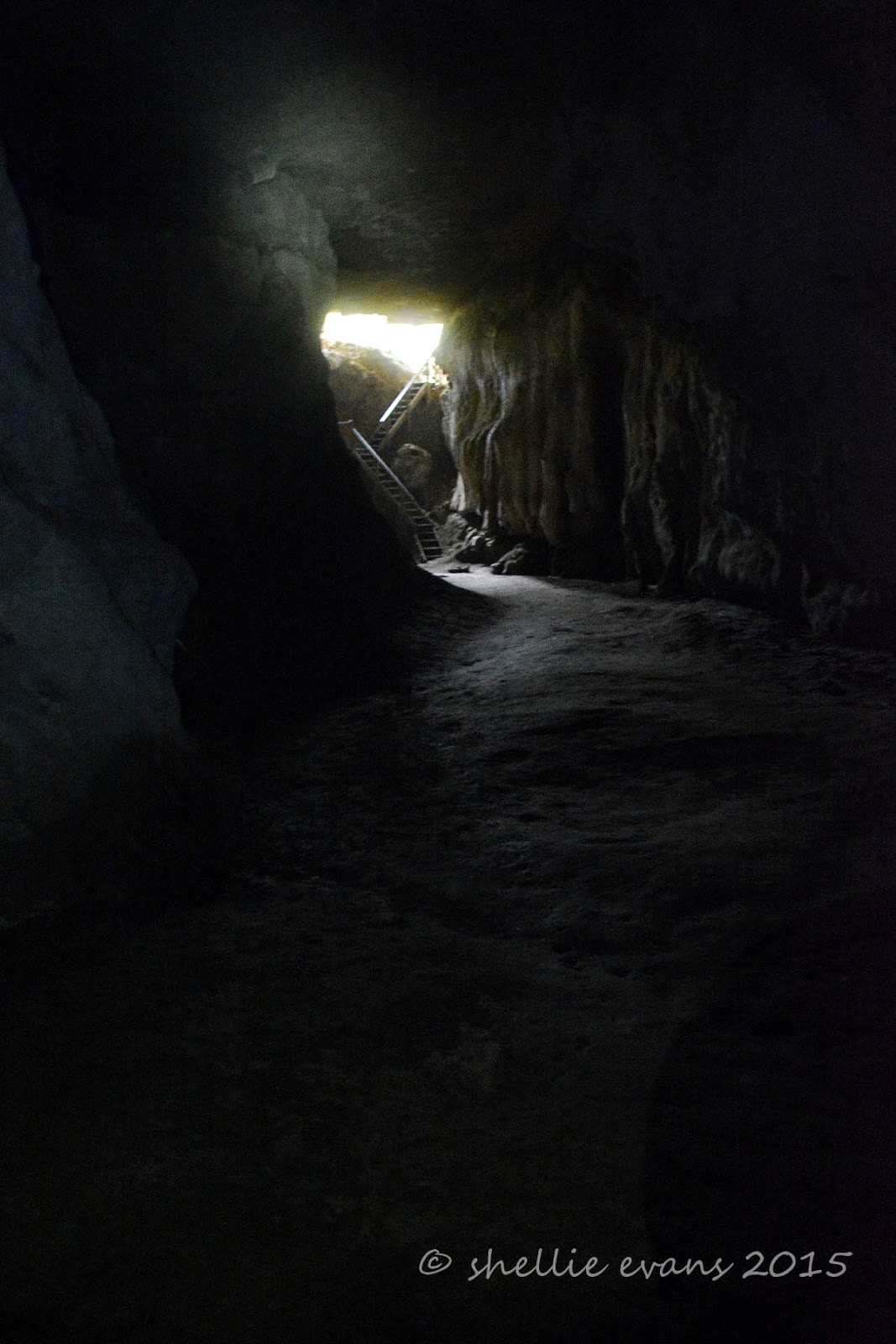 Two Go Tiki Touring: Crazy Paving & Box Canyon Caves- Oparara Basin