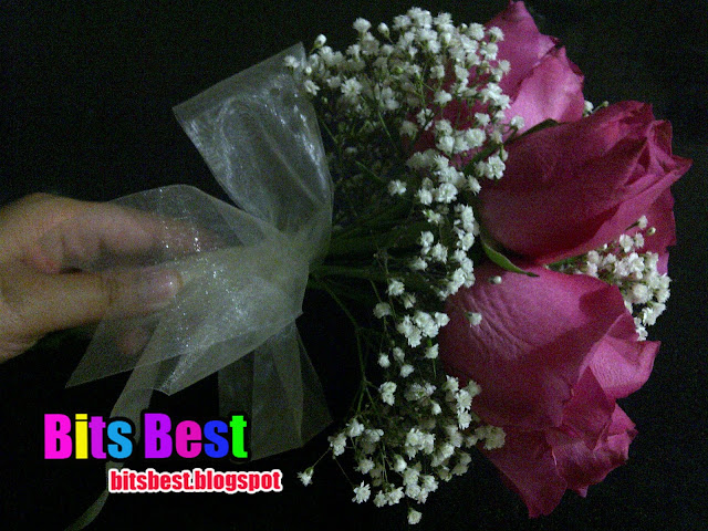 Bits Best: Bunga Tangan @ Bunga Pegang @ Hand Bouquet