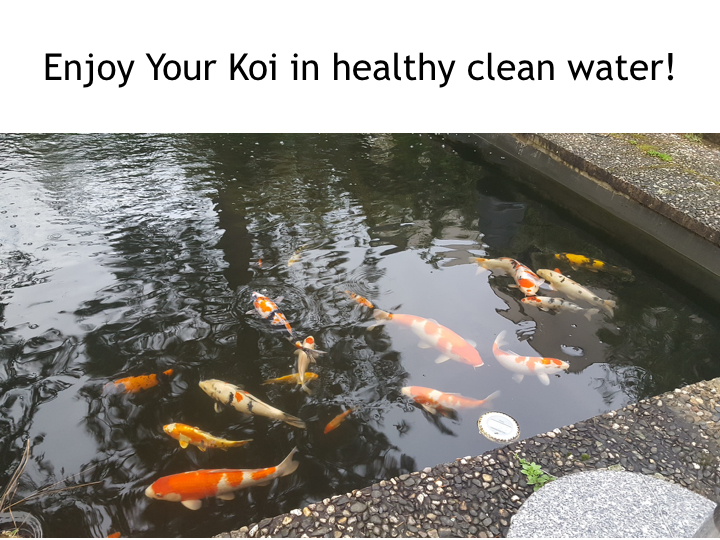 Anoxic Filtration System: Building an Anoxic Filter suitable for both ...