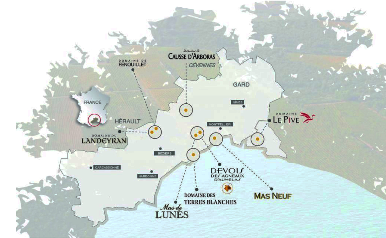 Club des Dégustateurs de Grands Vins: Picpoul de Pinet, Les Pins de ...