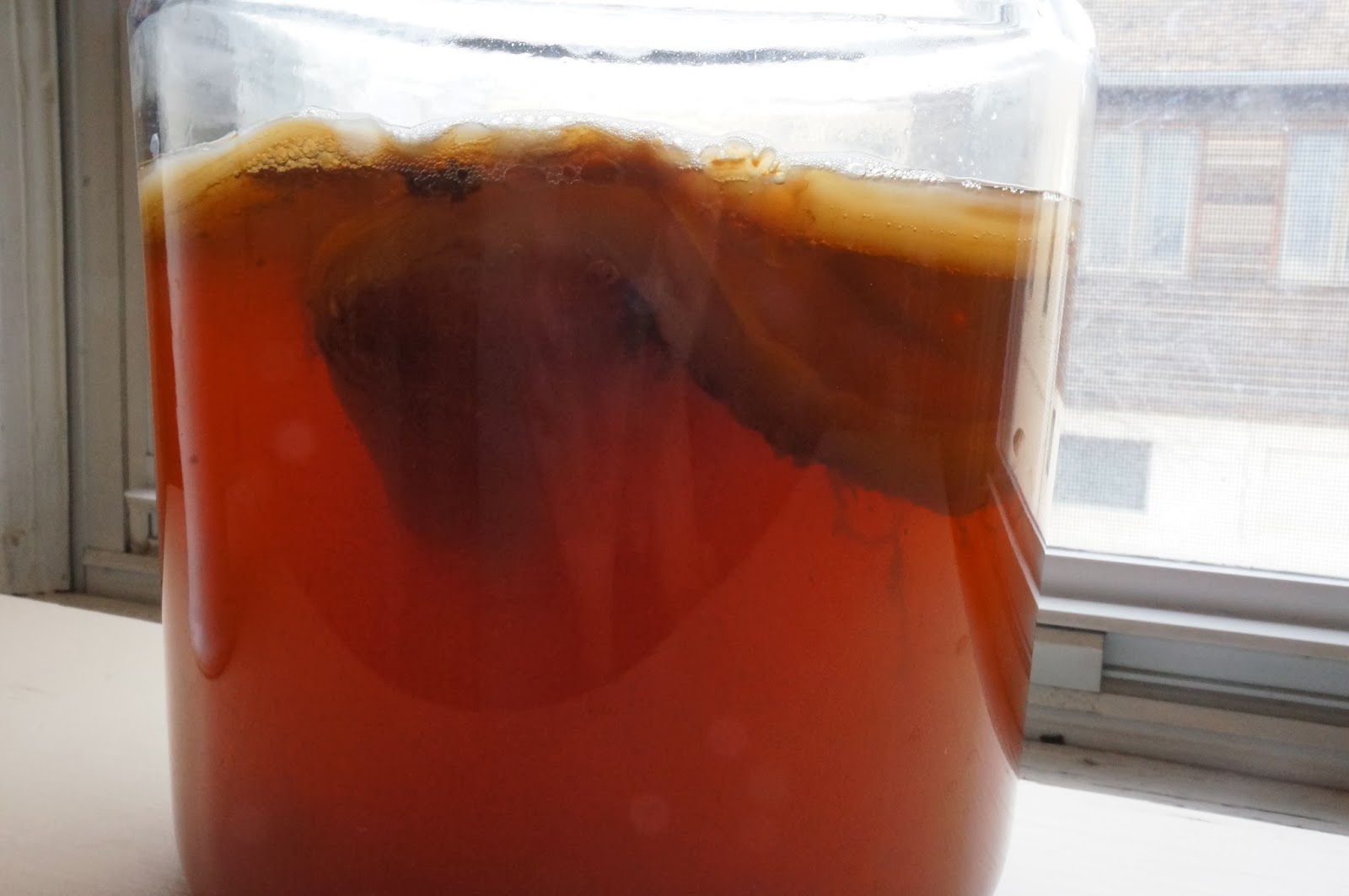 Rustic Revival: Kombucha: Ancient Fermented Tea