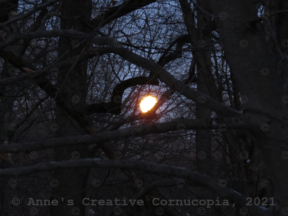 Anne's Creative Cornucopia: Rising Yellow Full Moon Behind Trees ...