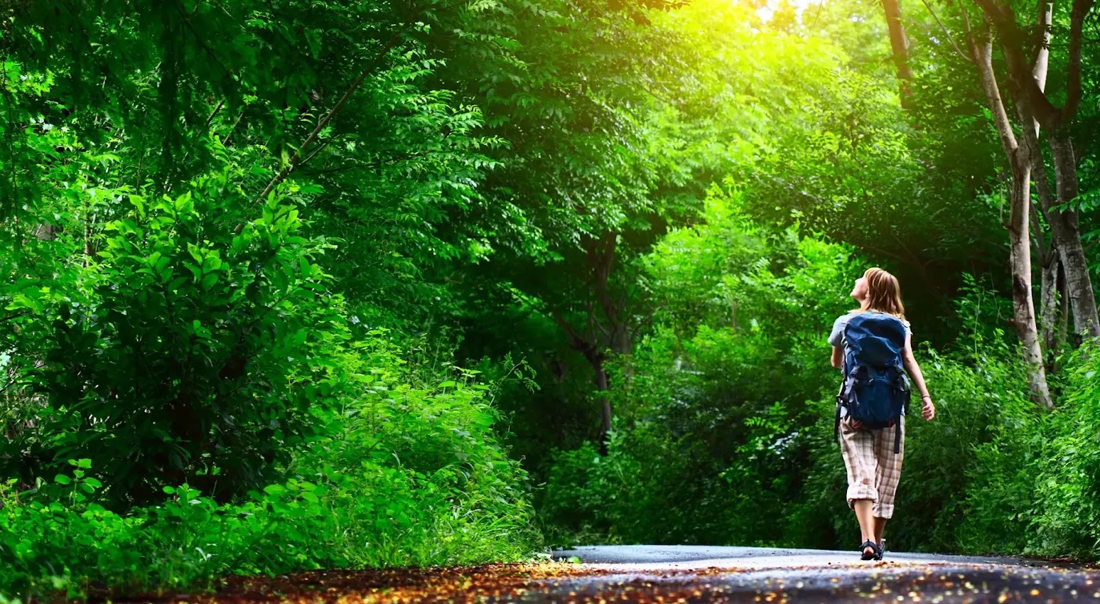 Know Your Duty Towards Nature, And Follow Them