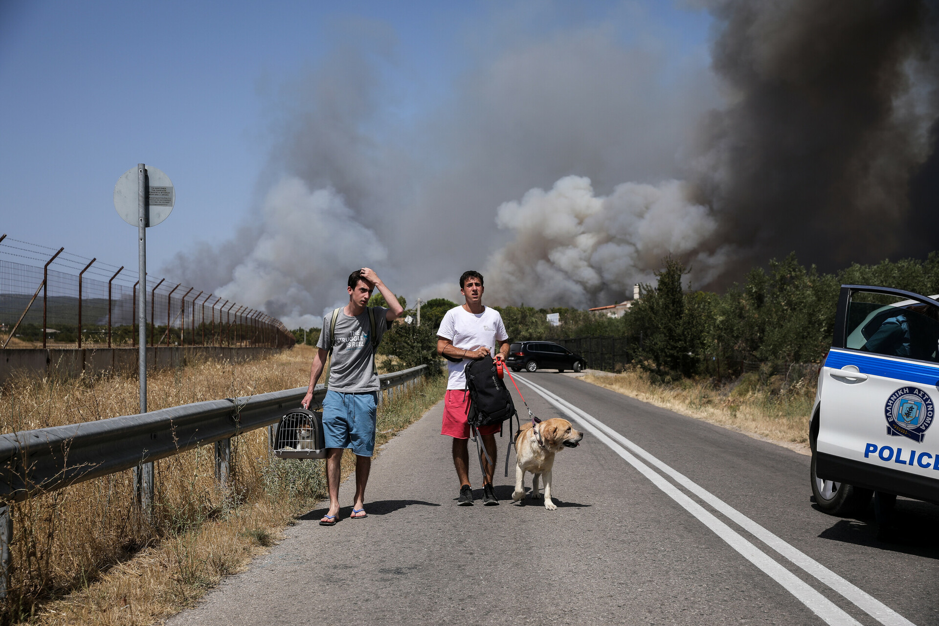 ΗΡΩΕΣ ΣΤΗ ΦΩΤΙΑ: ΑΝΘΡΩΠΟΙ ΣΩΖΟΥΝ ΑΛΟΓΑ ΚΑΙ ΣΚΥΛΙΑ - ΟΙ ΠΥΡΟΣΒΕΣΤΕΣ ΠΟΥ ...