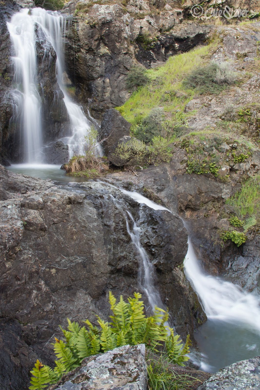 Cole's Trail Tales: Carson Falls - Marin Waterfall Hike - 4/2/12