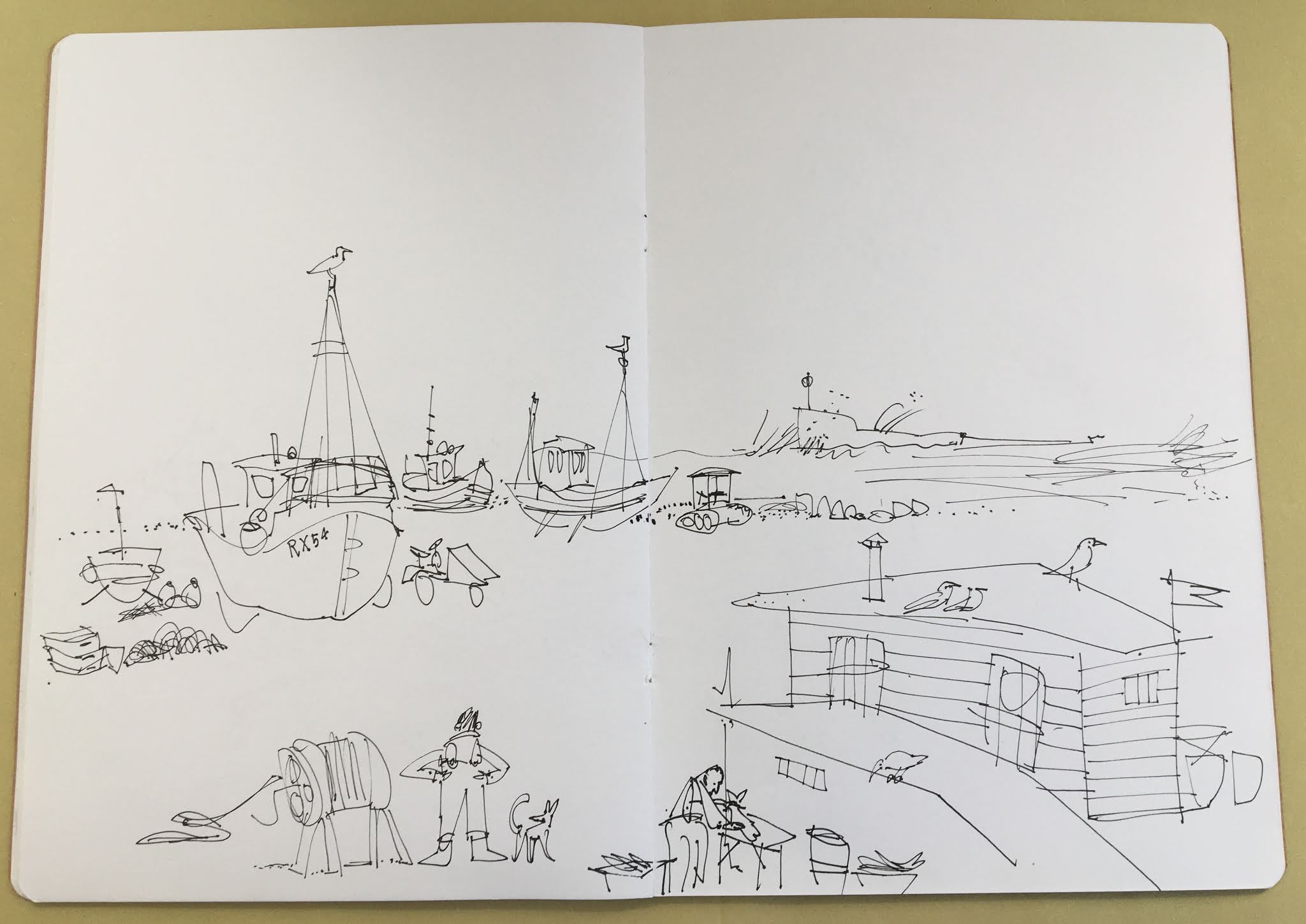 Picture Book Party: Ride the Wind by Nicola Davies & Salvatore Rubbino ...