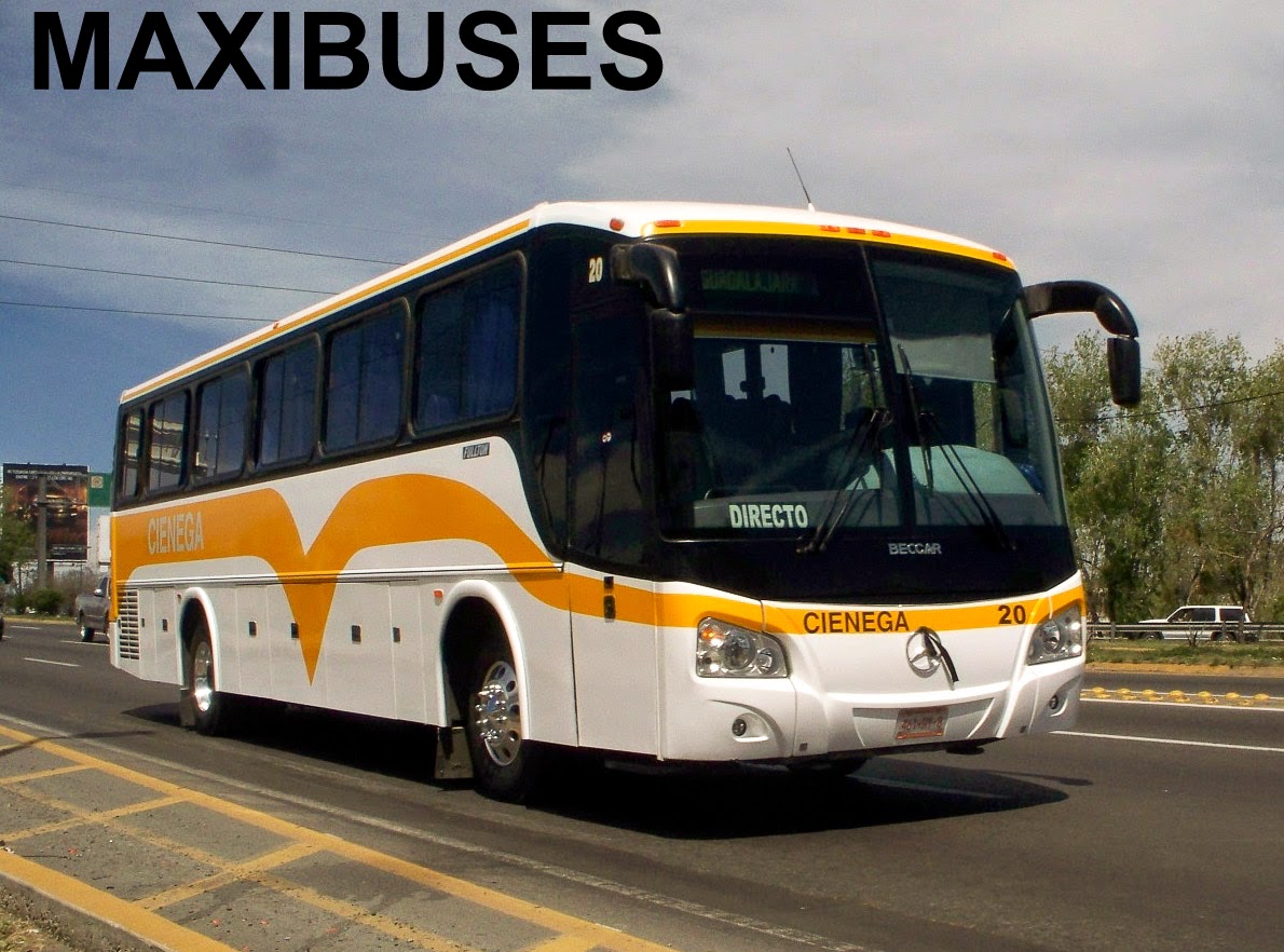 MAXIBUSES: AUTOTRANSPORTES CIÉNEGA DE CHAPALA