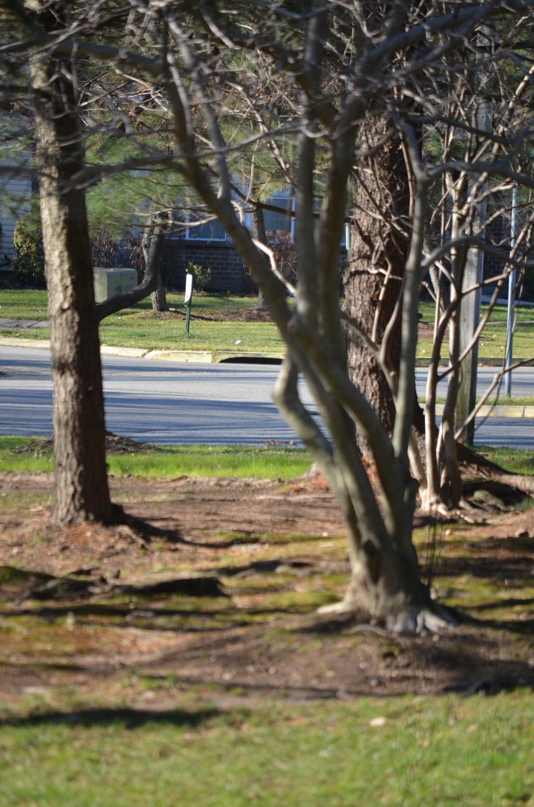 KCurtin Photography: DOF Messing Around