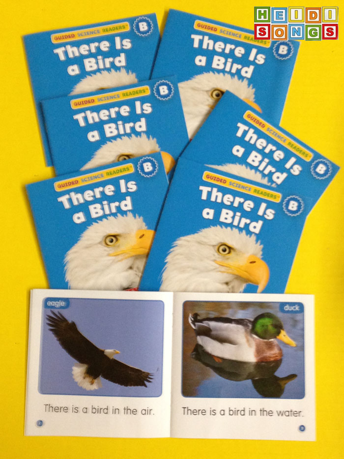 How to Do Guided Reading with Informational Text (in Kindergarten!)