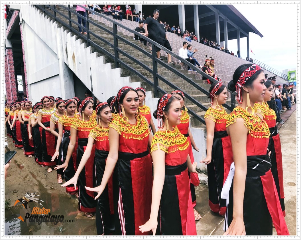 Pekan Gawai Dayak Kalimantan Barat Tahun 2018 - MISTER PANGALAYO