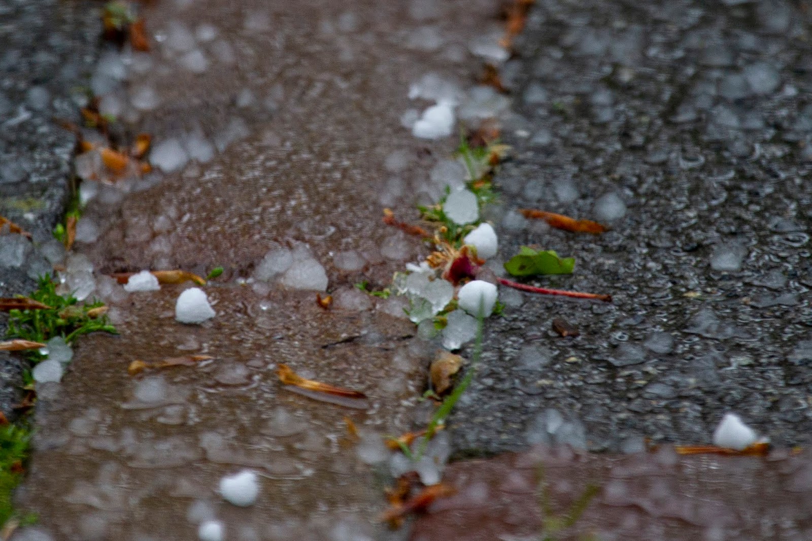 iwings: hailstones