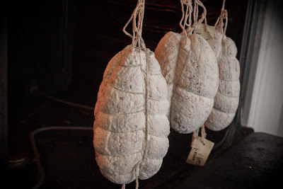 Curing Salami with Penicillium Nalgiovense