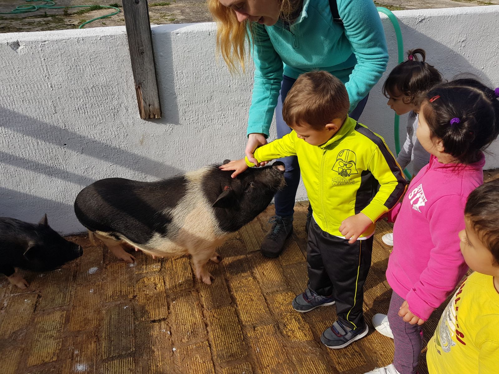 E.I. HUERTA DEL ROSARIO: PROYECTO: LOS ANIMALES DE LA GRANJA