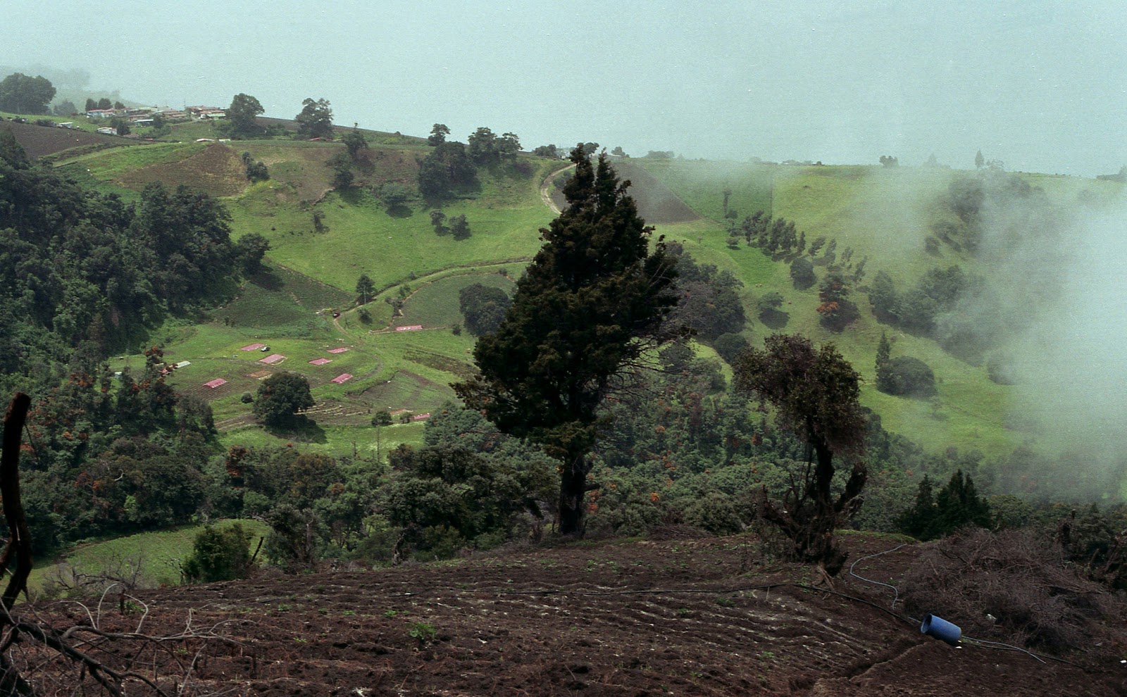 El Bosque de Prusia ¿qué ver allí?