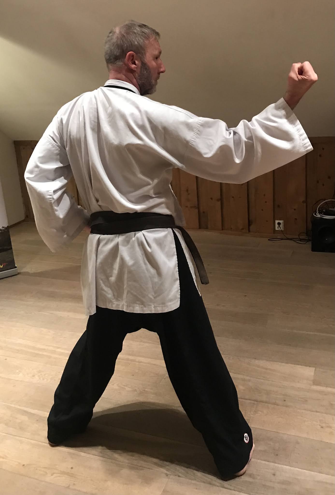 Taekwondo Back Stance