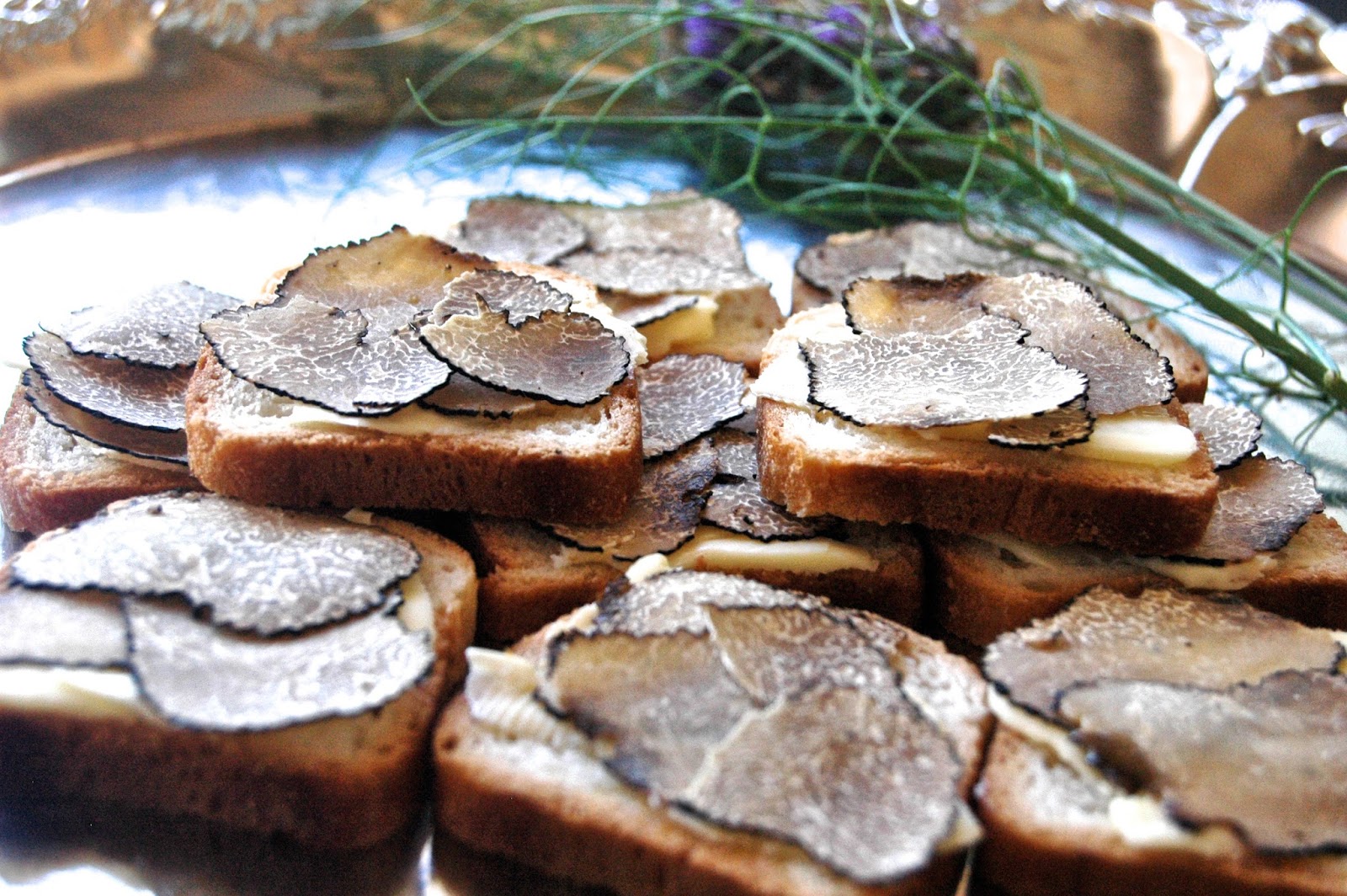 Summer truffle hunting in Provence | Source Food + Drink