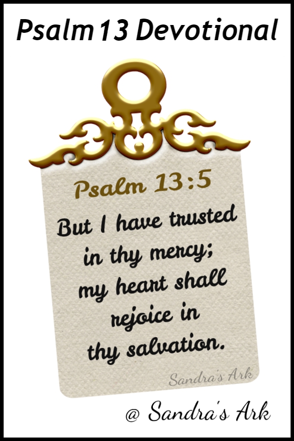 Sandra's Ark: Pondering the Psalms - Psalm 13