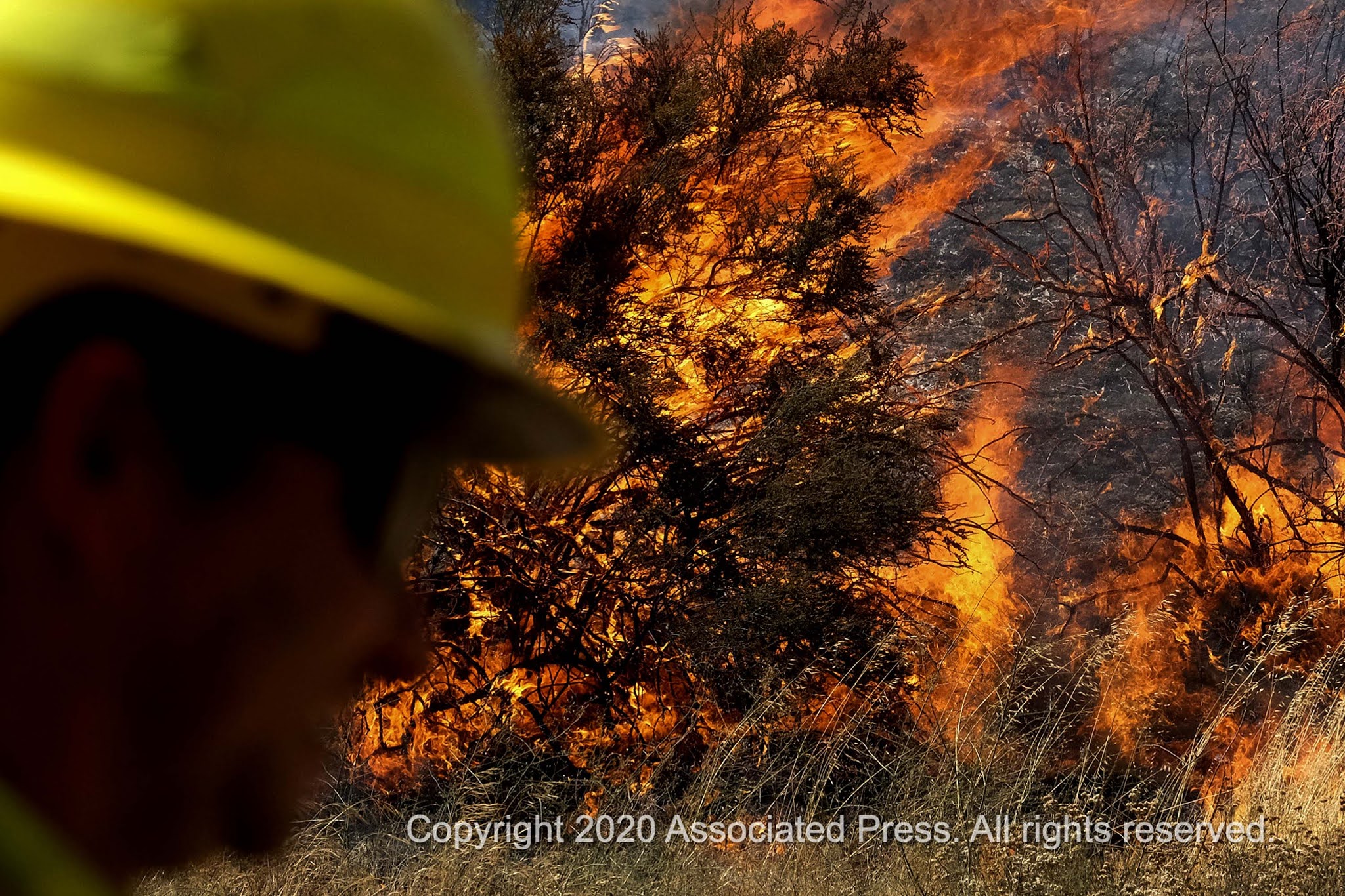 Ringo Chiu Photography: 20200802 The Apple Fire continues burning