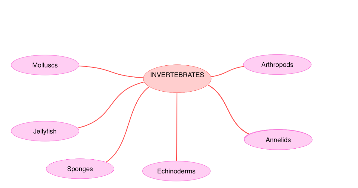 Science4: COMPLETE A MINDMAP WITH INFORMATION ABOUT INVERTEBRATES
