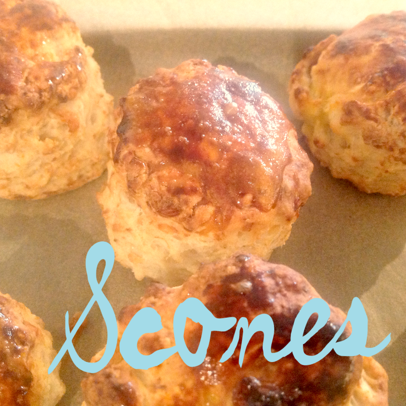 Savoury Scones | A Saucy Stitch