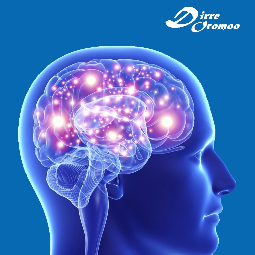 Dirree Oromoo: SAMMUU ILMA NAMAA