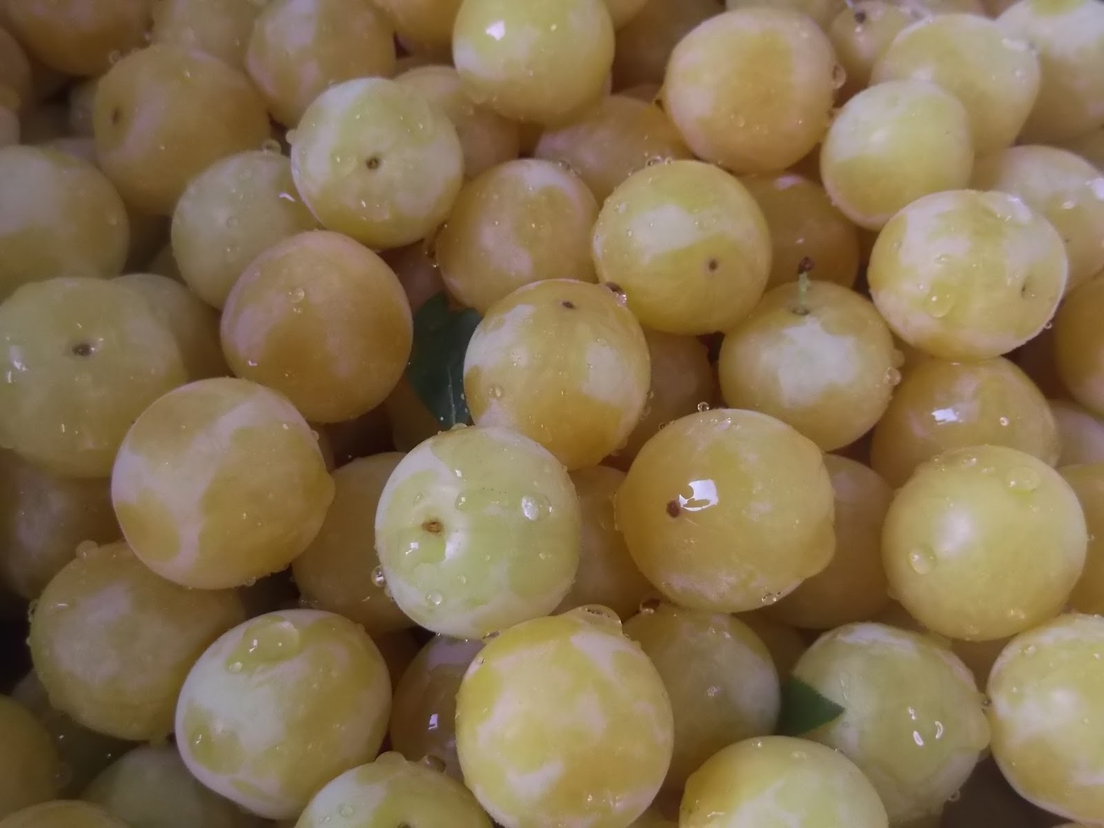 Hellena ...din bucataria mea...: Gem de corcoduse galbene